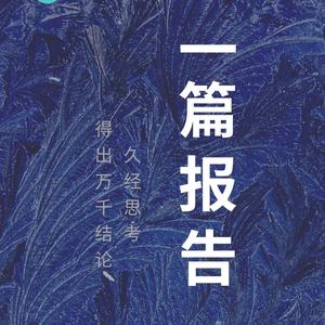 一篇报告 