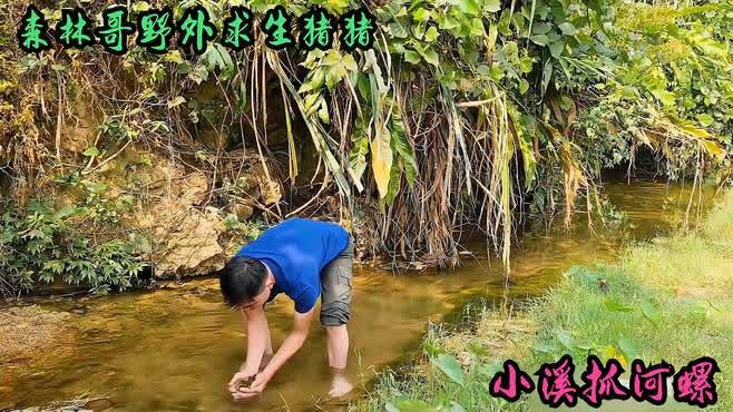 森林哥野外求生,小溪抓河螺,大黄吃螺肉米线,照顾猪猪
