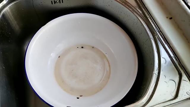 这才是白灼虾最好吃的做法,鲜嫩可口,可不是白水煮虾那么简单