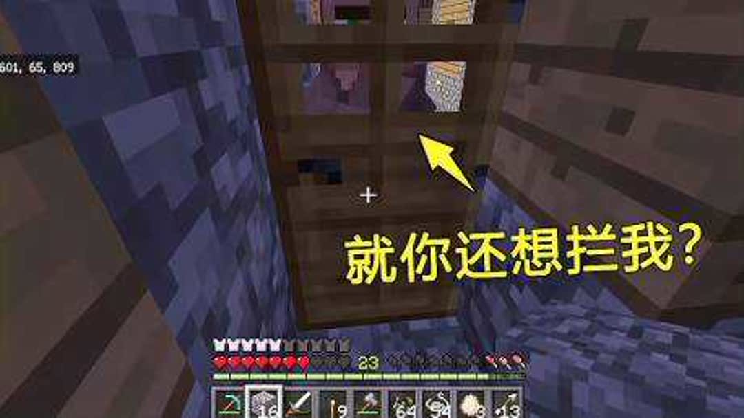 我的世界联机52村民竟想阻止大蜀偷书墨哥看到笑出了声
