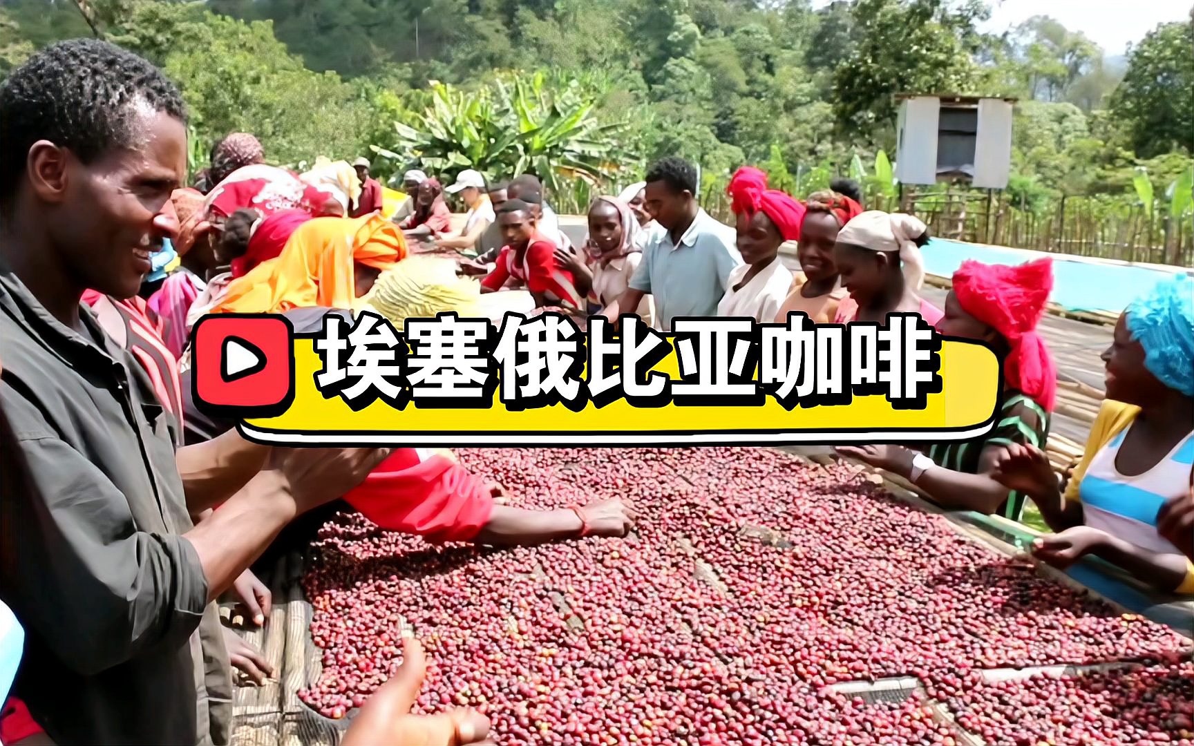 咖啡世界当之无愧的“伊甸园”—— 埃塞俄比亚