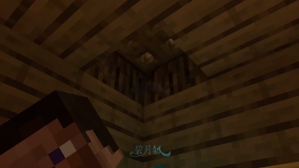 当用奇怪DNA的方式打开MC #我的世界 #mc #minecraft