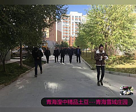 2017年青海省各政企观摩湟中县电子商务进农村工作