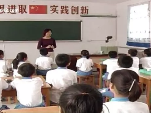 探究性学习 燃烧课堂实录