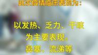 敲重点⚠️新冠病毒疫情临床表现为:以发热、乏力、干咳为主要表现...