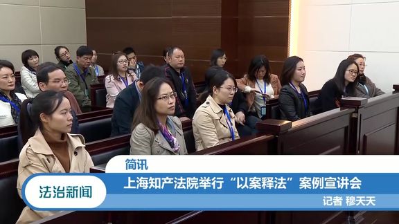 上海知产法院举行“以案释法”宣讲会,助力企业品牌建设
