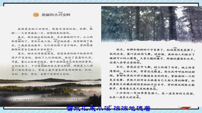三年级语文上册《20美丽的小兴安岭》朗读