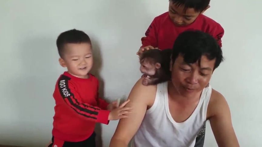 猴子趴在主人肩膀上吃梨子 还会吐皮