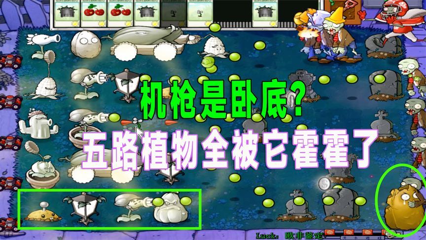 植物大战僵尸:九月的运气怎么样?我用一局欧非鉴定来说话