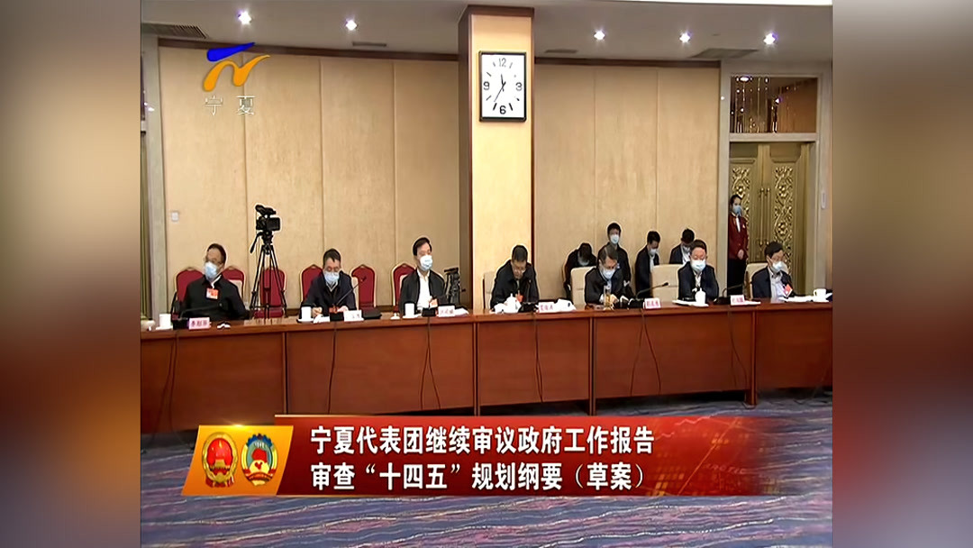 宁夏代表团继续审议政府工作报告 审查“十四五”规划纲要(草案)