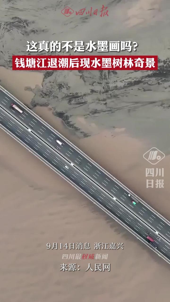 钱塘江退潮后惊现大片潮汐树,仿佛天然水墨画!
