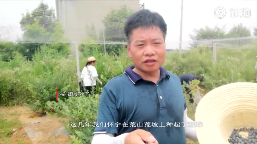 【#用方言介绍家乡#,一句话夸下你的家乡】一省有南北,十里不同音。