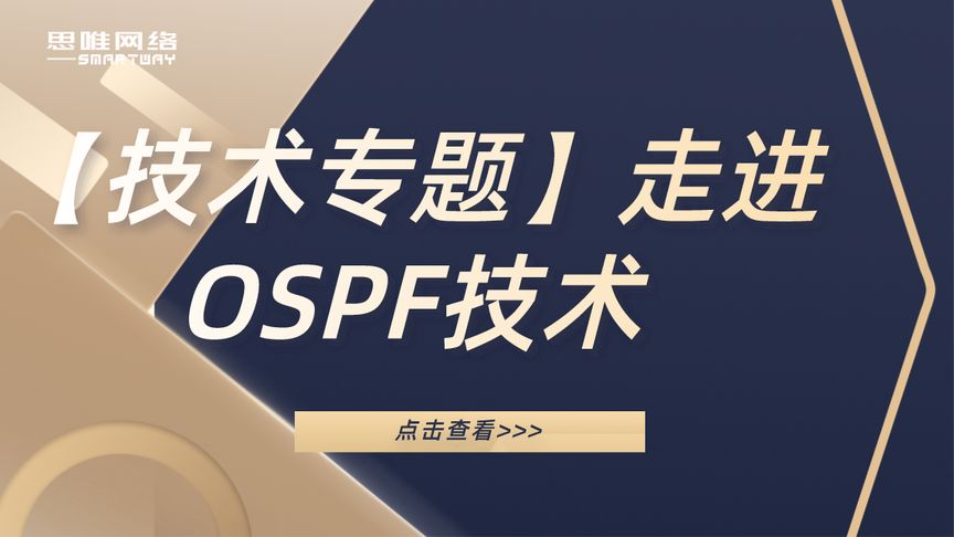 【技术专题】走进OSPF技术