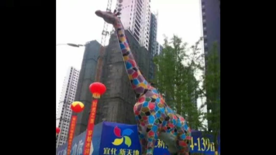 猛犸象鲨鱼海龟长颈鹿模型出租