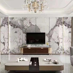 佛山澳斯捷背景墙 