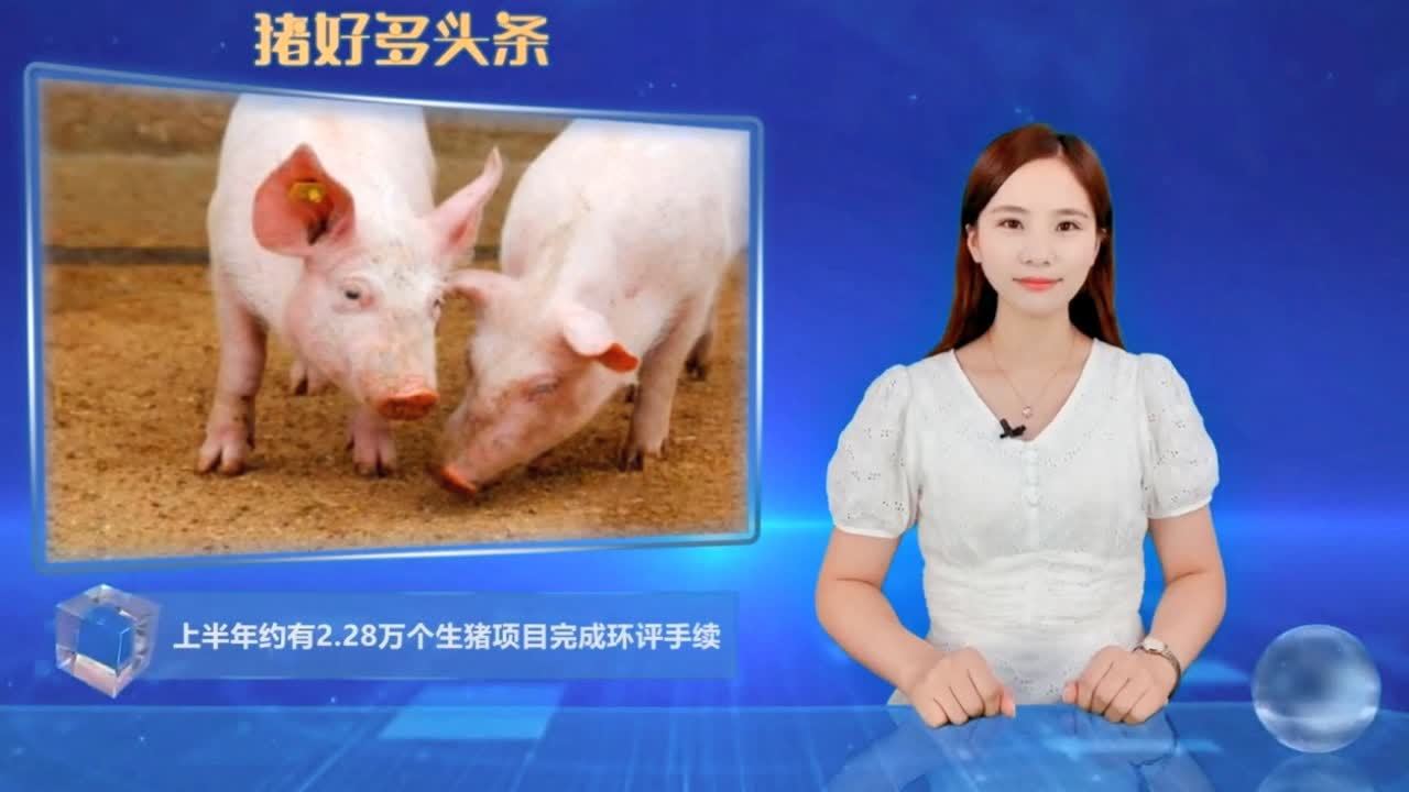 全国养猪投资增长69.1%,2.28万个生猪项目完成环评手续