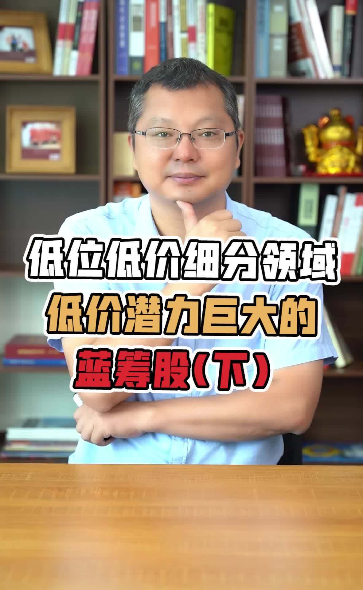 低位低价细分行业领域,潜力巨大的蓝筹股...