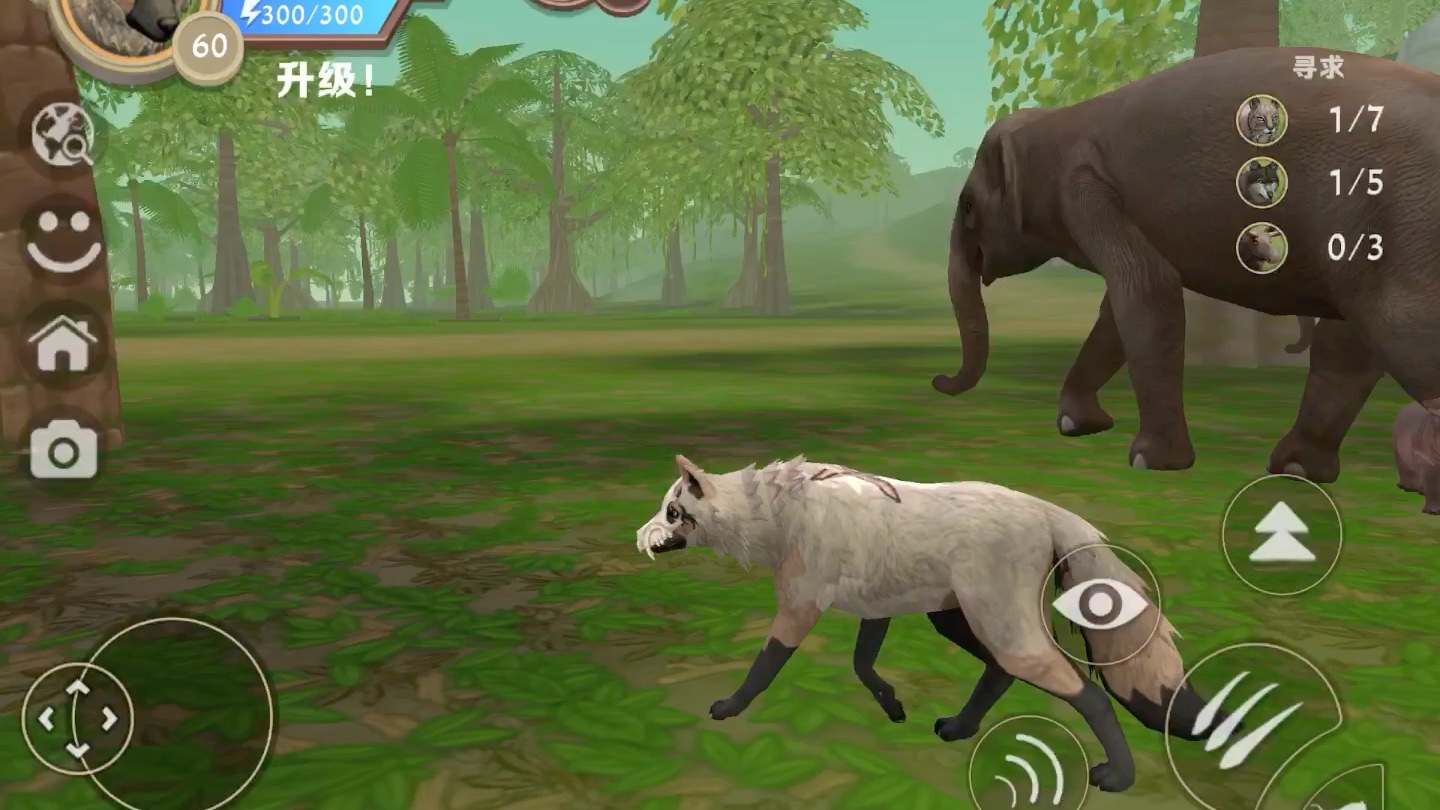 月夜狼王萌新主号狼模拟器解说