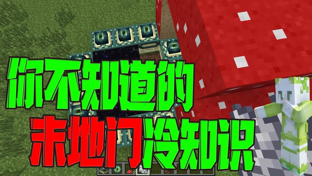 我的世界:原来末地门还有这么多冷知识!