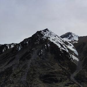 欲与禹于雨渔鱼 