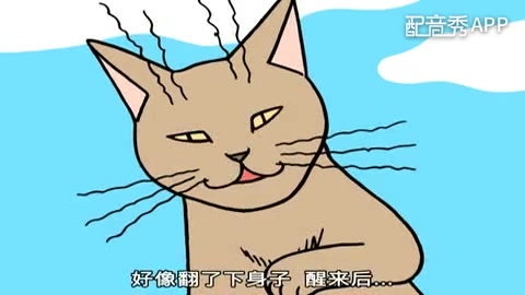 配音什么的还是算了吧