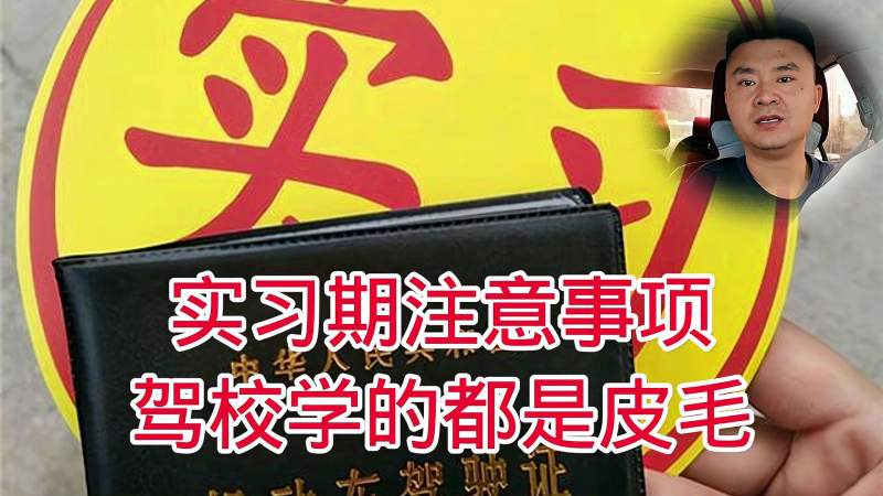 新手实习期注意事项与开车注意事项!驾校学的都是皮毛!不容错过