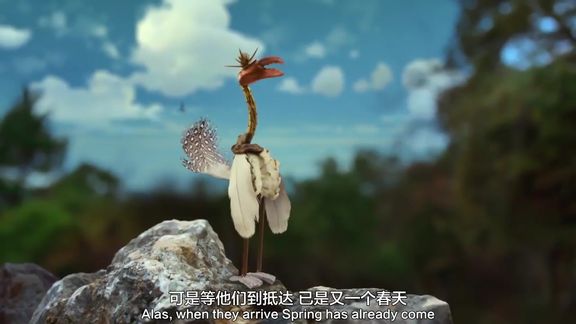 当植物都变成小动物为蜗牛送行,创意定格动画短片《蜗牛送葬曲》