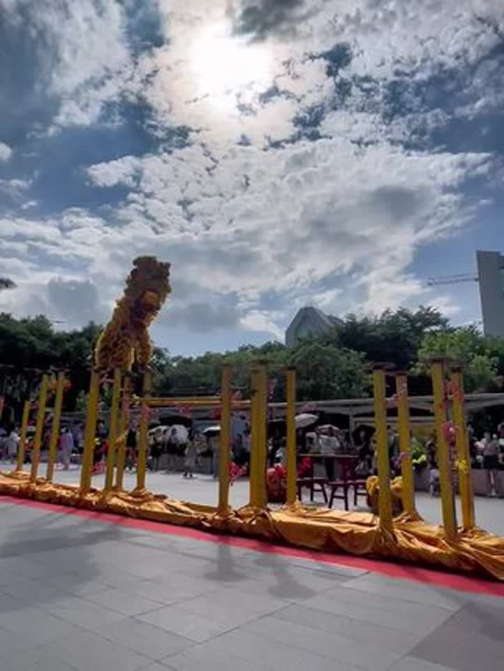 #龙狮文化 #高桩醒狮 #开业演出 天空白白的云
