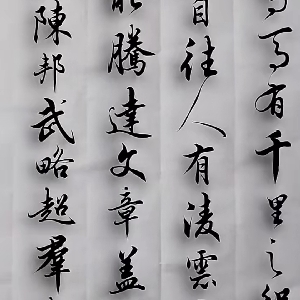 张书人书法 