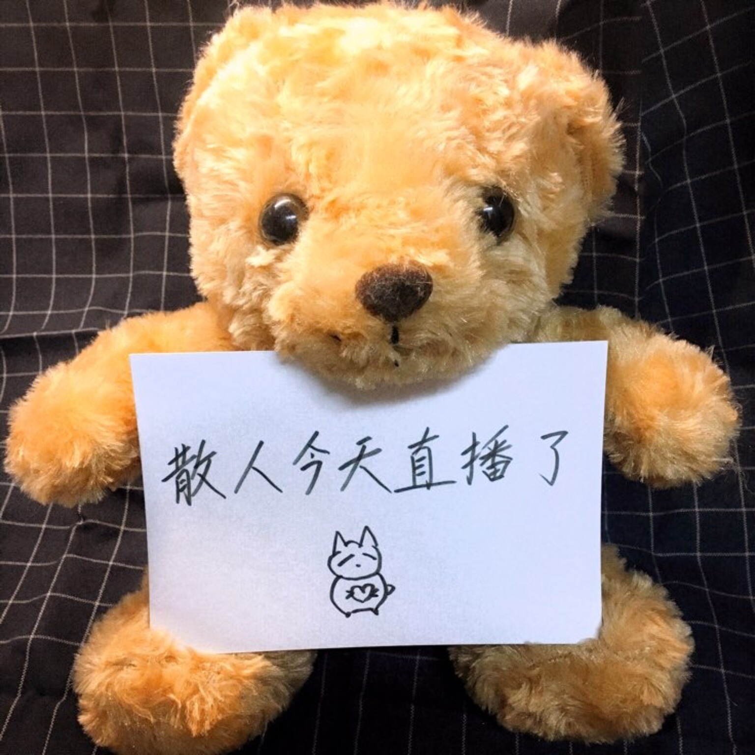 散人今天直播了 