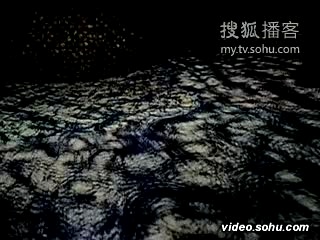上海世博会沙特馆内部影像