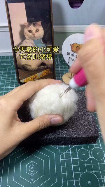 送这只小猫咪回家手工diy,羊毛毡,手工制作,羊毛毡戳戳乐,手作