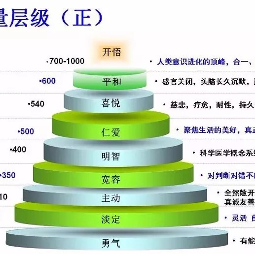 新教育袁涛 