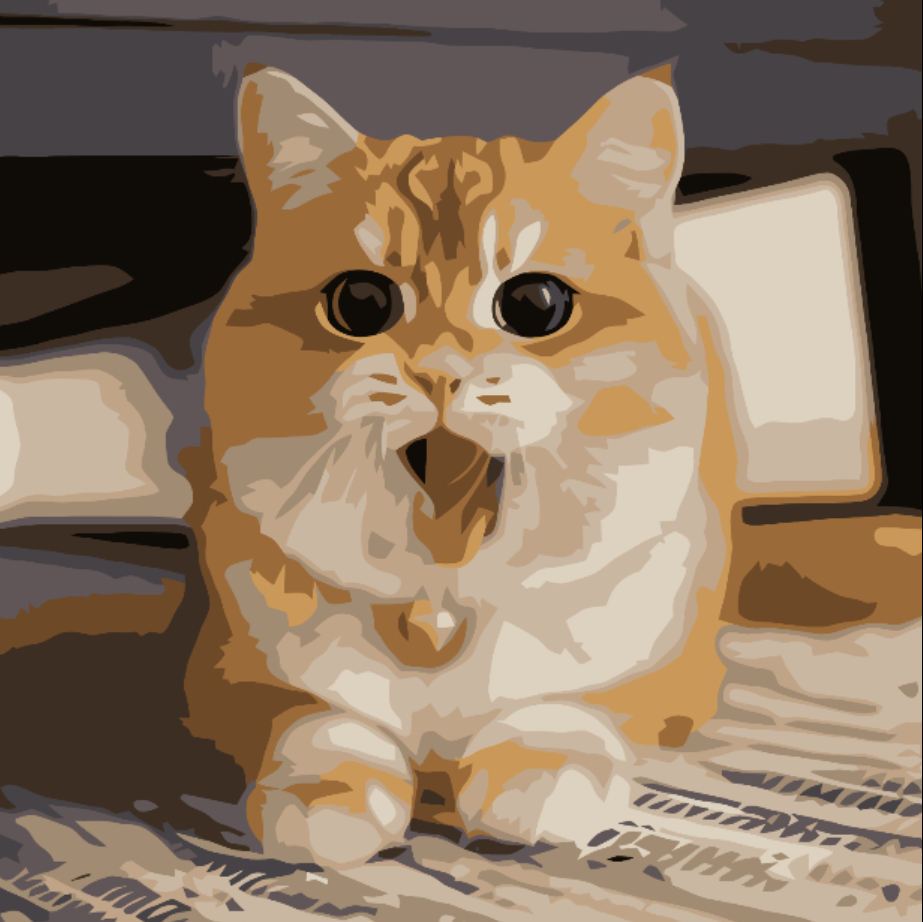 呆头呆脑的程序喵 