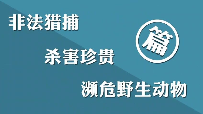 「红微普法」原创普法动漫之非法猎捕、杀害珍贵、濒危野生动物篇