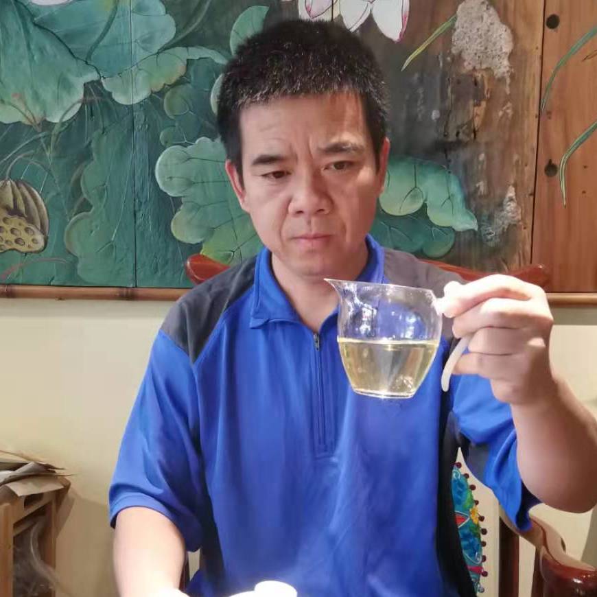 鸿蒙普洱茶 