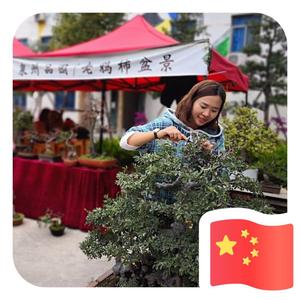 品园 