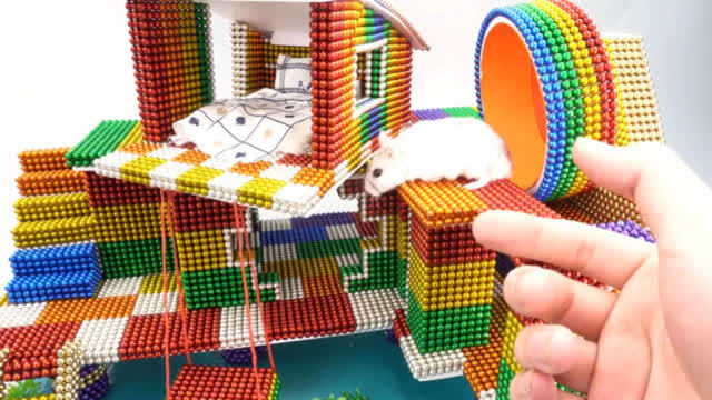 主人用2千颗巴克球,制作最精致的仓鼠房子,小仓鼠可喜欢了