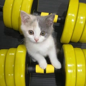 喜欢学习的帅小伙 