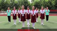大张楼镇彭营小学少先队员“你好,少代会”