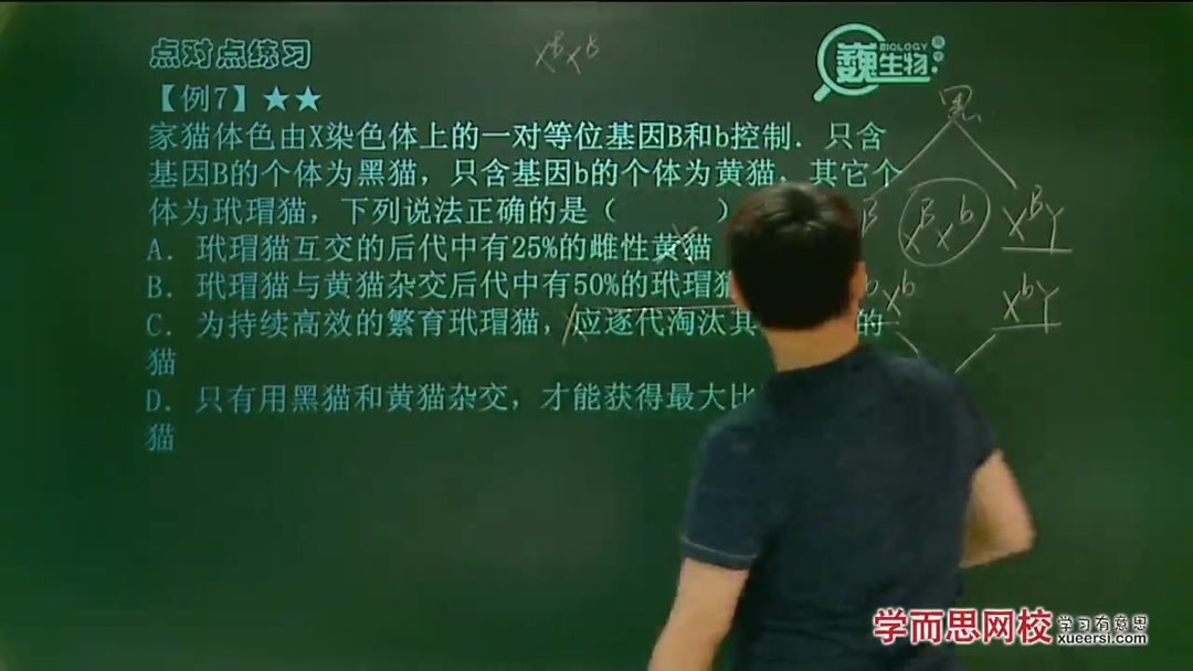 第08讲:伴性遗传进阶③