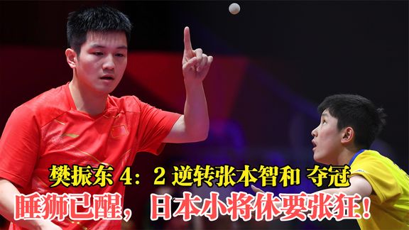 樊振东4:2力克张本智和夺冠:睡狮已醒,日本小将休要张狂!