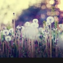 超爱喝红茶的语彤 