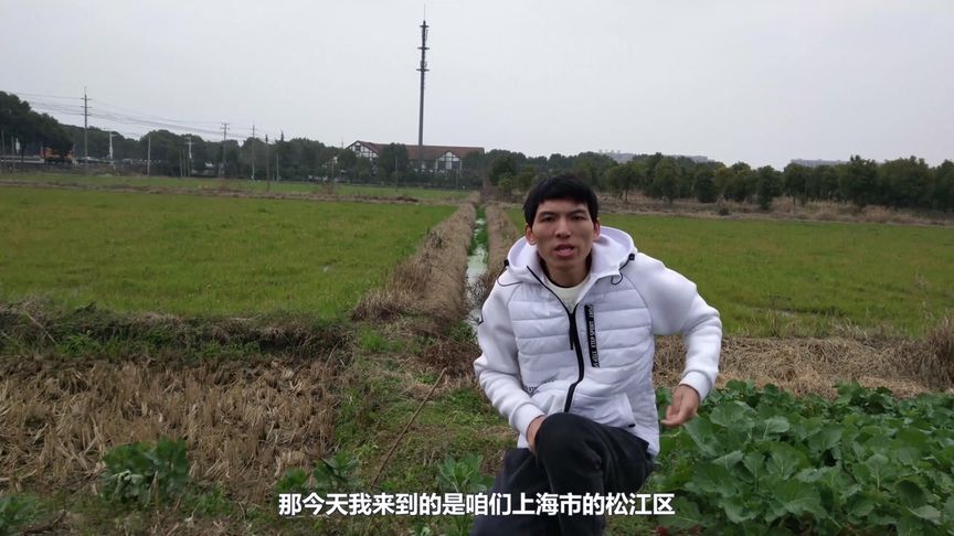 你以为上海都是高楼大厦吗,来看看上海的农村