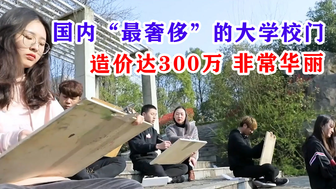 国内“最奢侈”的大学校门,造价达300万,非常华丽