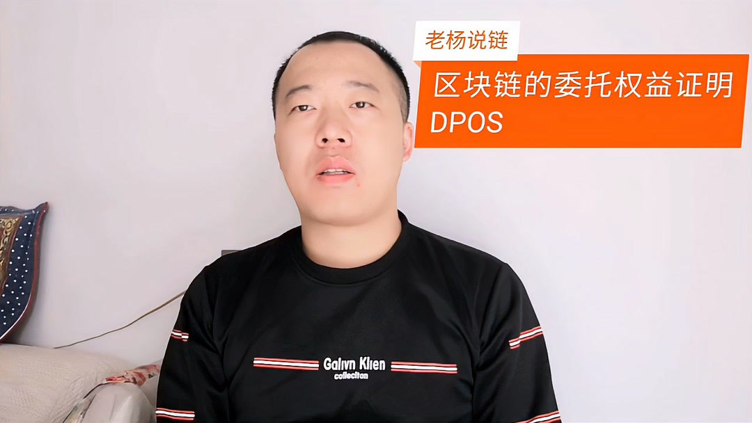 老杨说链:委托权益证明Dpos