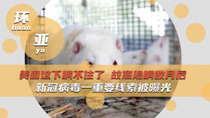 故意隐瞒数月后,新冠病毒一重要线索被曝光,“调查美国”响起