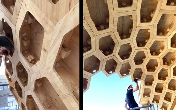 HexBox Canopy:快速组装的带楔形接缝的分段木壳