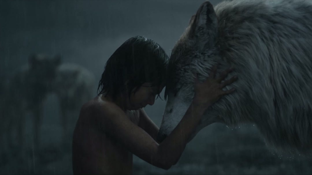 狼妈妈试图保护自己的人类儿子,狼孩为了狼族离开狼群