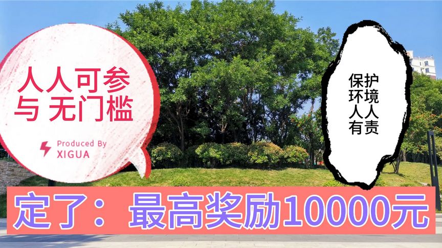 可赚钱:最高奖10000元,人人可参与,陕西公布最新环保举报政策